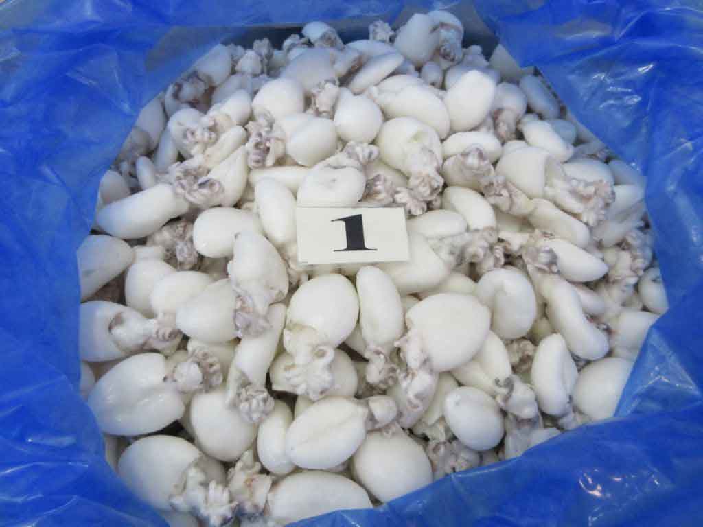 Buyer Partner for Seafood Supply from Indian Subcontinent ...