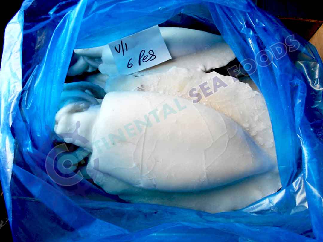 Buyer Partner for Seafood Supply from Indian Subcontinent ...