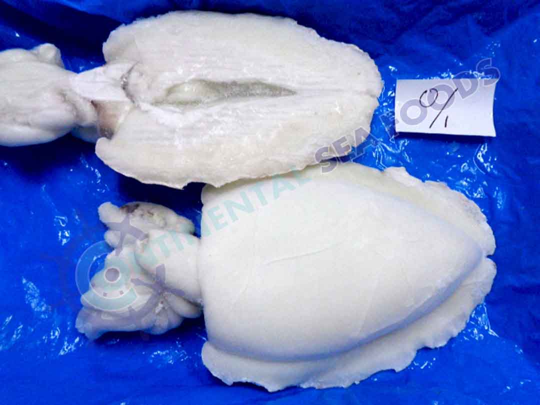 Buyer Partner for Seafood Supply from Indian Subcontinent ...