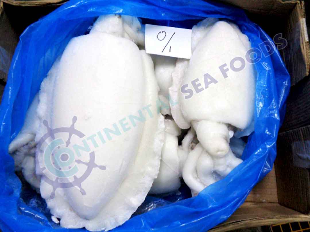 Buyer Partner for Seafood Supply from Indian Subcontinent ...