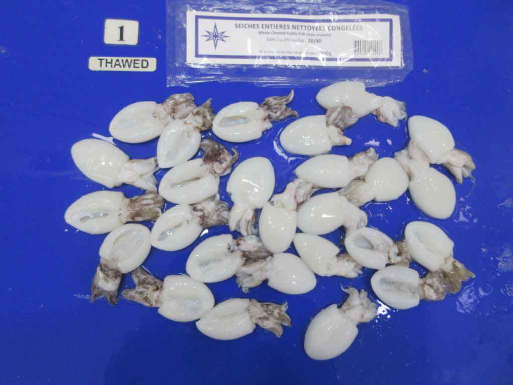 Buyer Partner for Seafood Supply from Indian Subcontinent ...