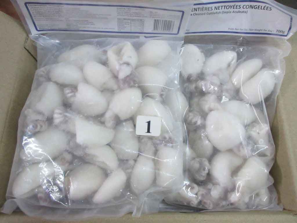 Buyer Partner for Seafood Supply from Indian Subcontinent ...