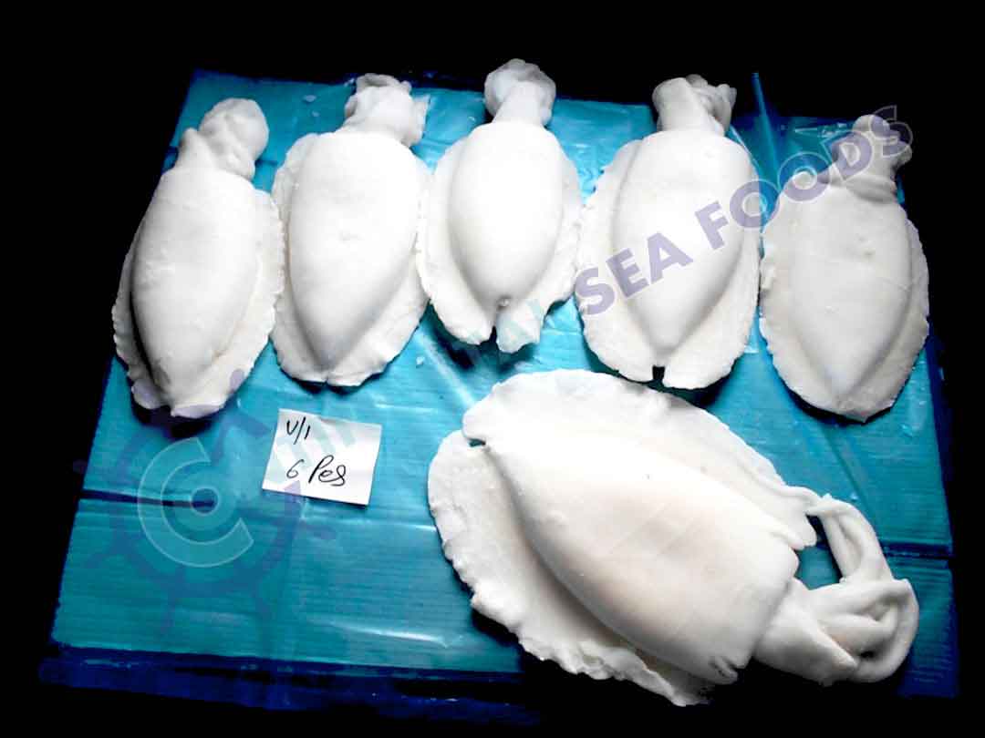 Buyer Partner for Seafood Supply from Indian Subcontinent ...