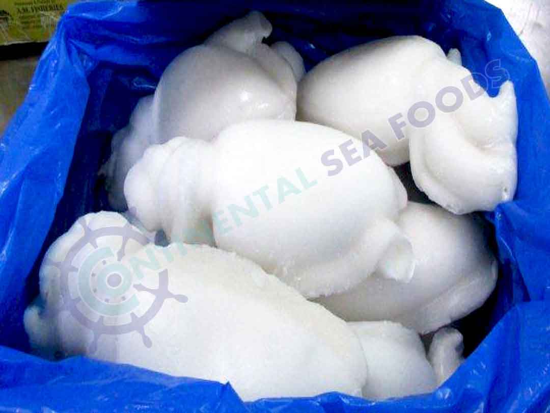 Buyer Partner for Seafood Supply from Indian Subcontinent ...