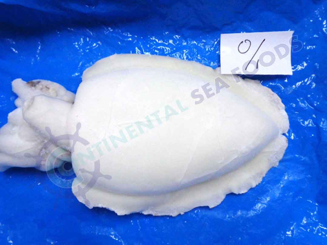 Buyer Partner for Seafood Supply from Indian Subcontinent ...