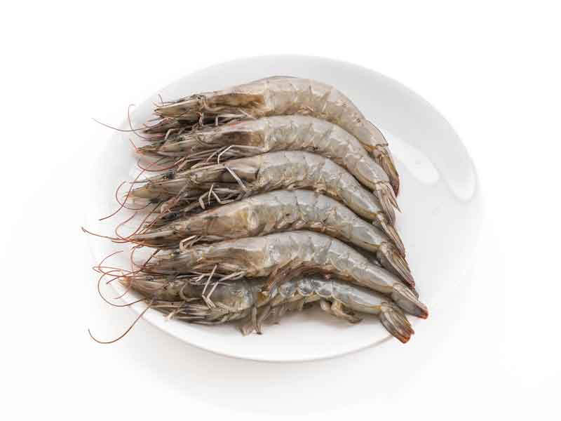 Buyer Partner for Seafood Supply from Indian Subcontinent ...